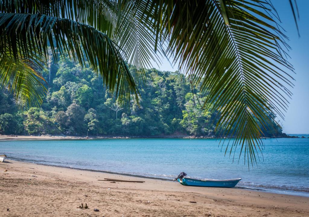 BOOK >> Playa de Oro Lodge in Bahia Solano (Choco), Colombia