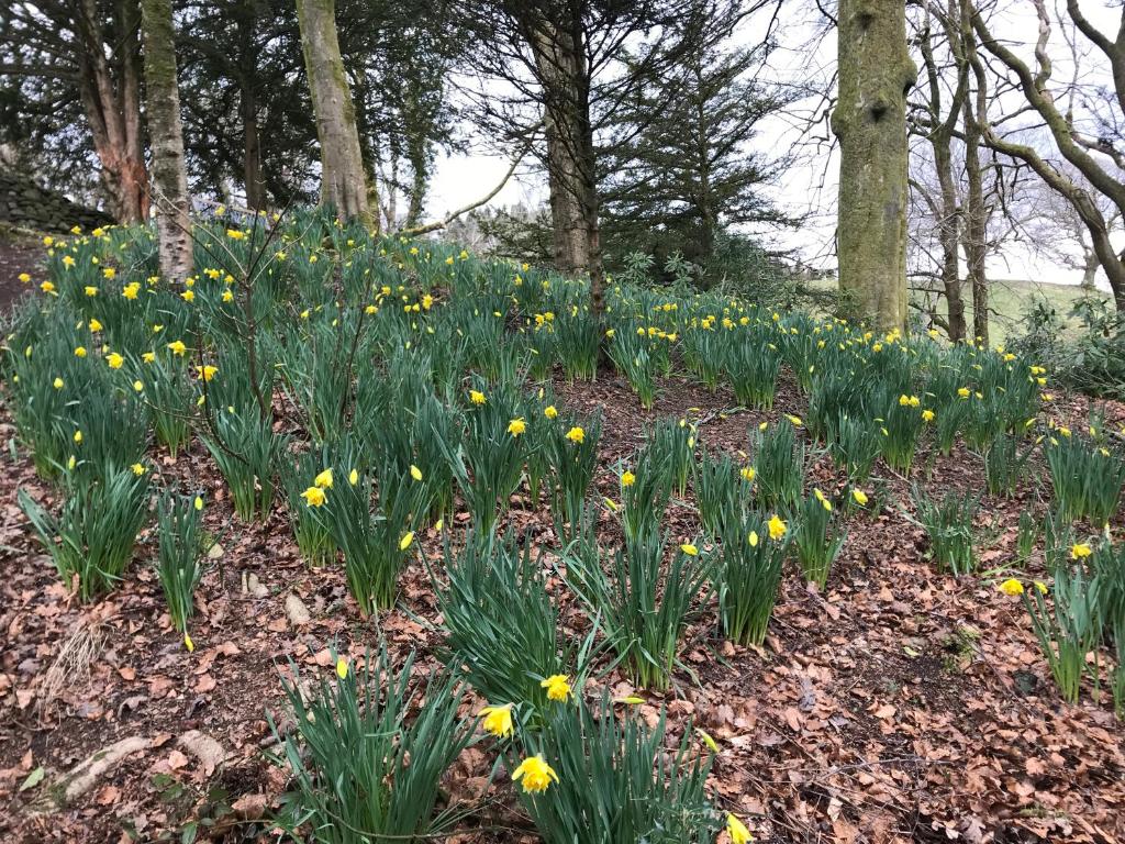 Walker Ground Manor | Lake District Guide