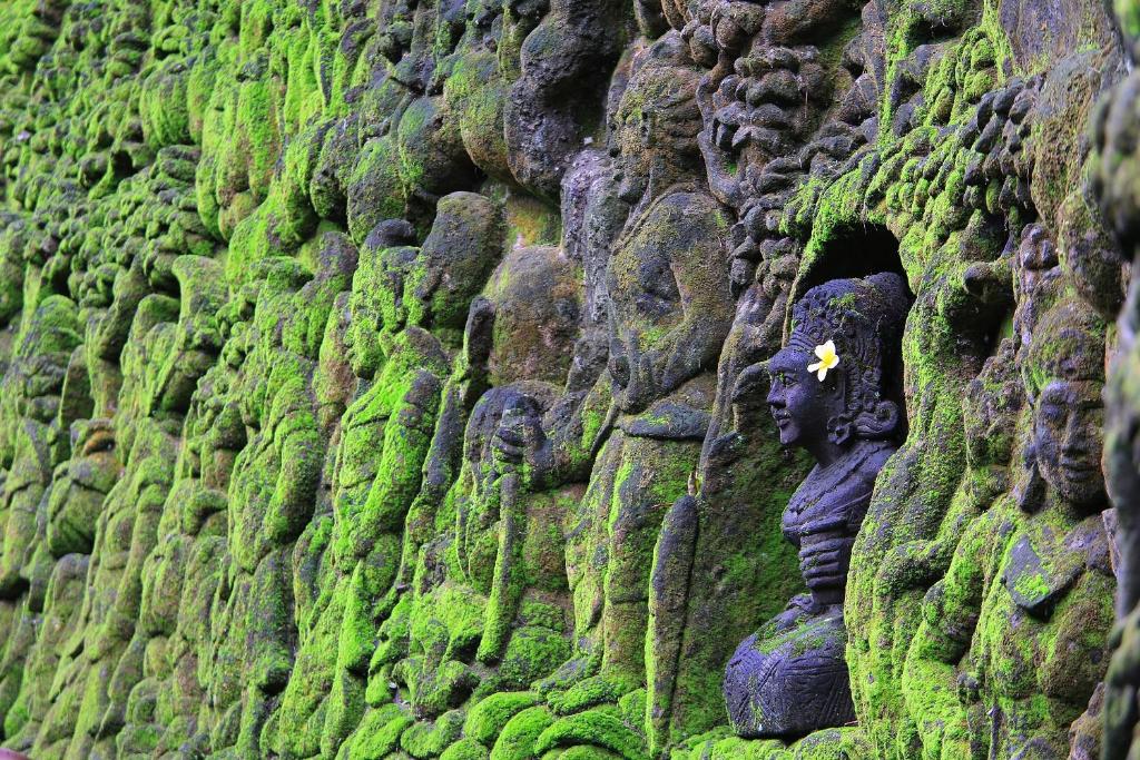 The Kayon Resort, Bali | 2024 Updated Prices, Deals