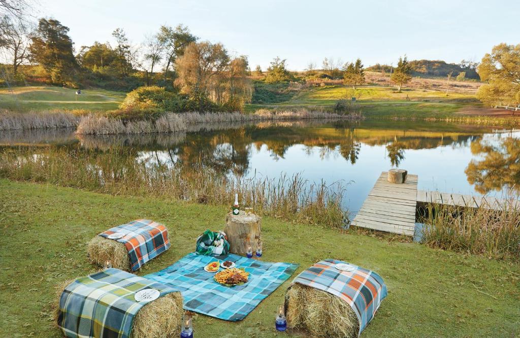 First Group Midlands Saddle and Trout | Howick 2024 UPDATED DEALS £38 ...