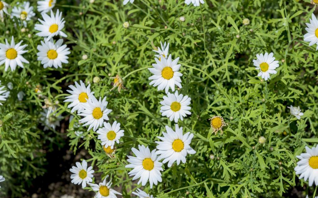 Chinshan Hotel, Chiayi | 2024 Updated Prices, Deals