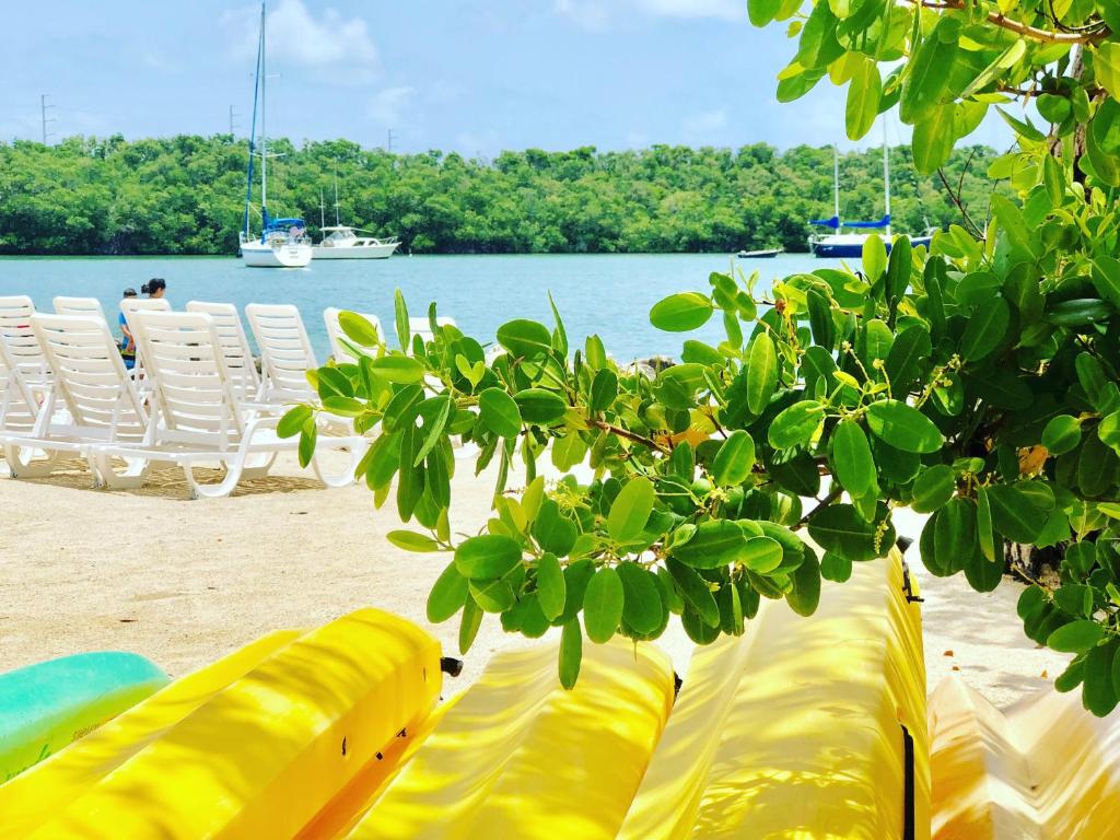Gilbert's Resort, Key Largo (FL) | 2024 Updated Prices, Deals