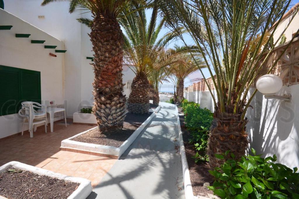 Cotillo Lagos | Fuerteventura 2024 UPDATED DEALS, HD Photos & Reviews