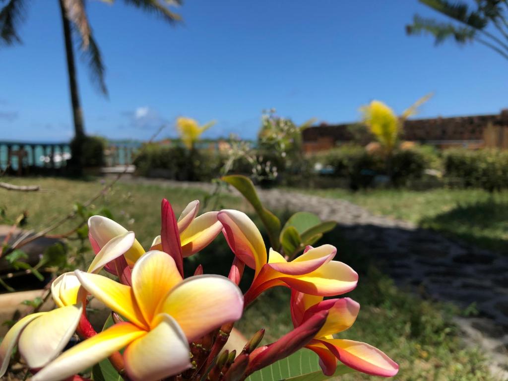Coco Villa, Mauritius Island | 2024 Updated Prices, Deals