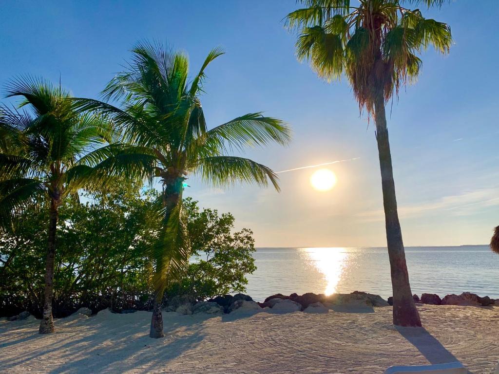 Gilbert's Resort, Key Largo (FL) | 2024 Updated Prices, Deals