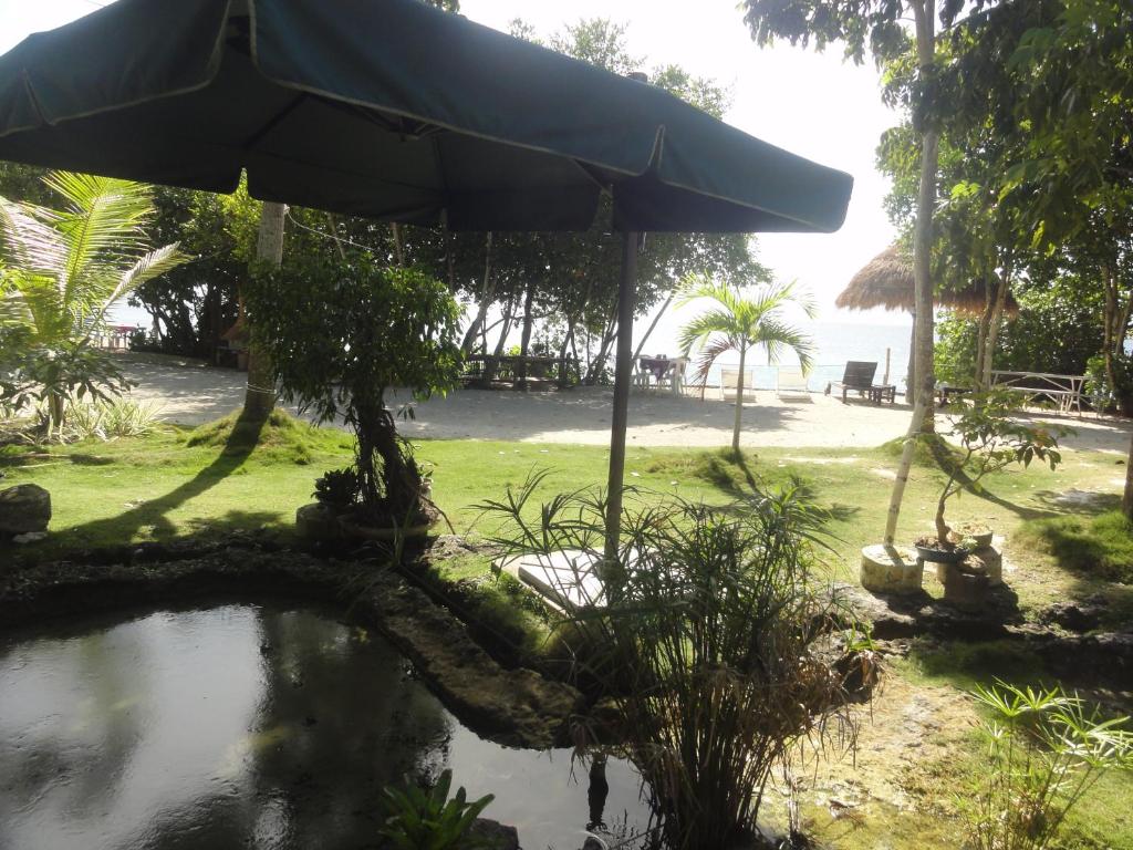 Sea Turtle House, Cebu | 2024 Updated Prices, Deals
