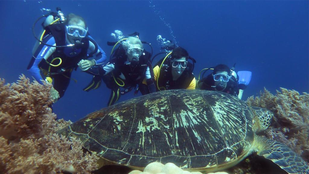 Alona Vida Beach Resort, Bohol | 2024 Updated Prices, Deals