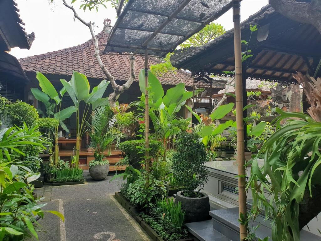 Bale Bali House - Updated Deals 2024