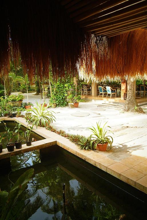 Sea Wind Resort, Boracay Island | 2024 Updated Prices, Deals