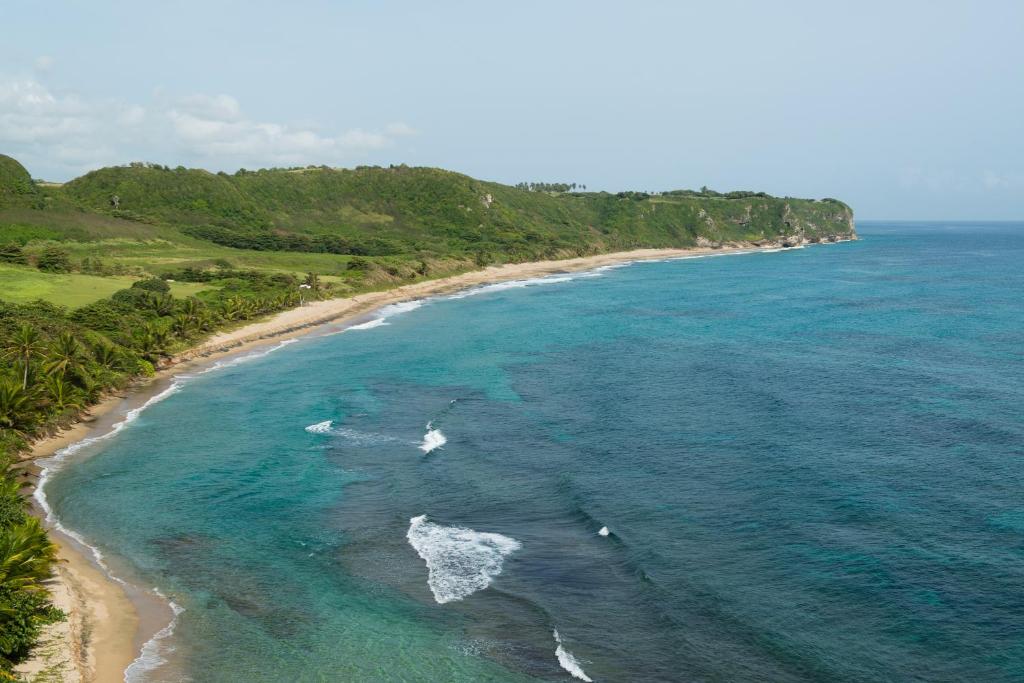 Royal Isabela, Isabela | 2024 Updated Prices, Deals