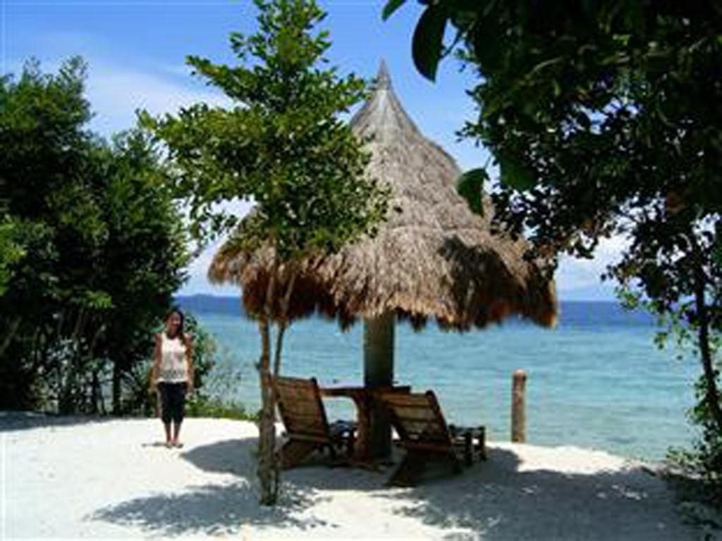 Sea Turtle House, Cebu | 2024 Updated Prices, Deals