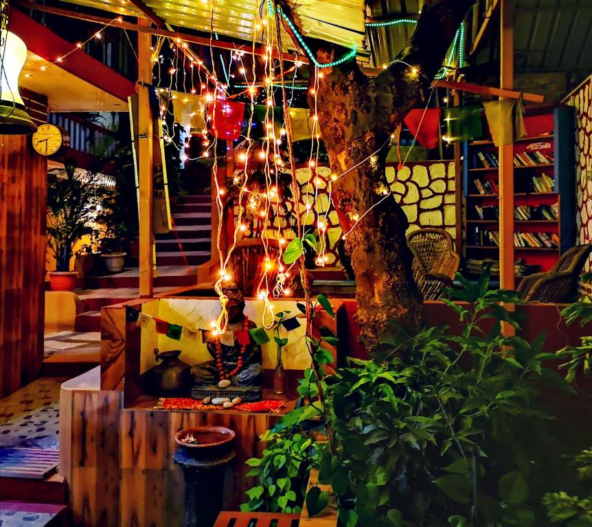 Hill Top Swiss Cottage, Rishikesh | 2024 Updated Prices, Deals