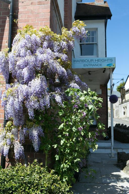 Harbour Heights Guest House | Devon Guide