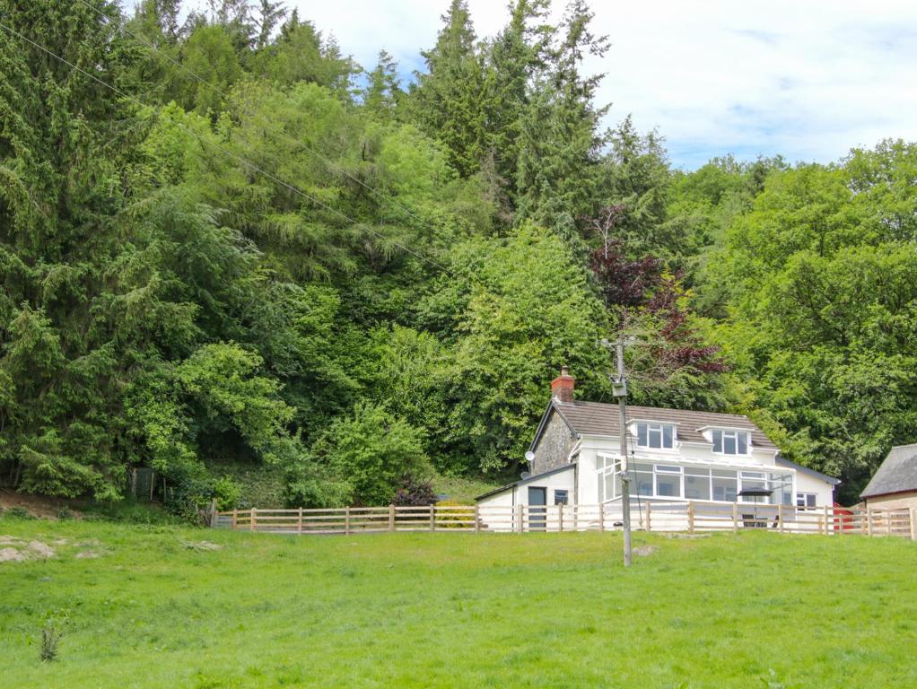 Hotels in Caersws, United Kingdom - price from $74 | Planet of Hotels