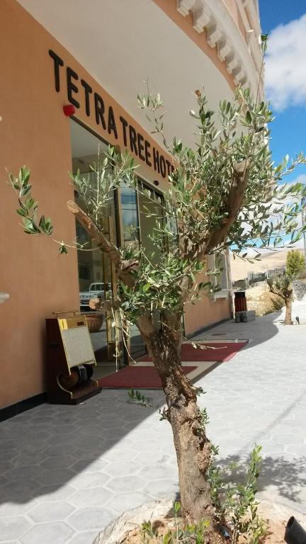 Tetra Tree Hotel, Petra | 2023 Updated Prices, Deals