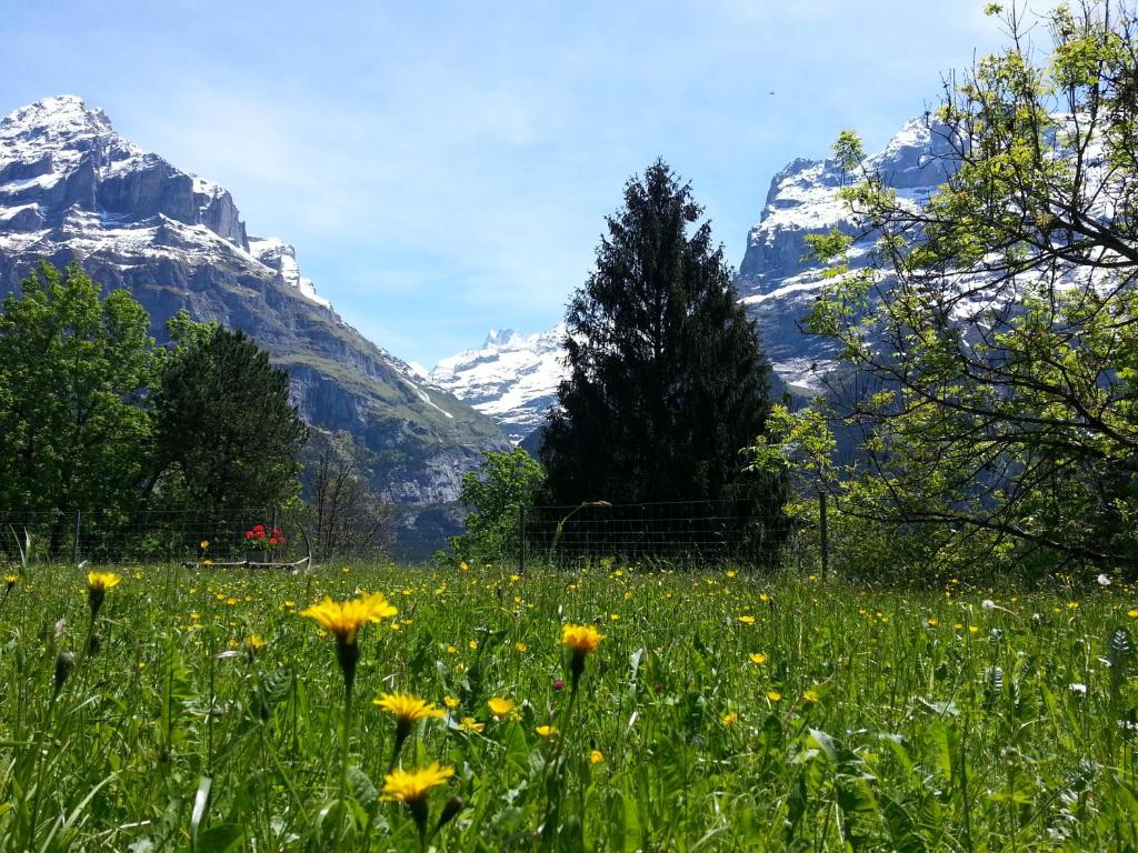 Grindelwald Youth Hostel, Grindelwald | 2024 Updated Prices, Deals