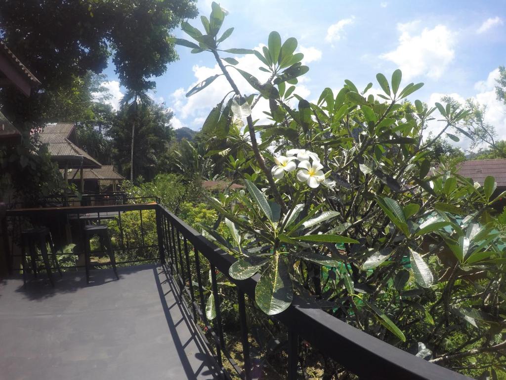 Morning Mist Resort, Khao Sok (Suratthani) | 2024 Updated Prices, Deals