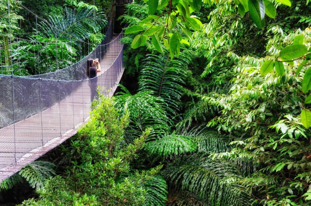 Bunga Raya Island Resort, Kota Kinabalu | 2024 Updated Prices, Deals