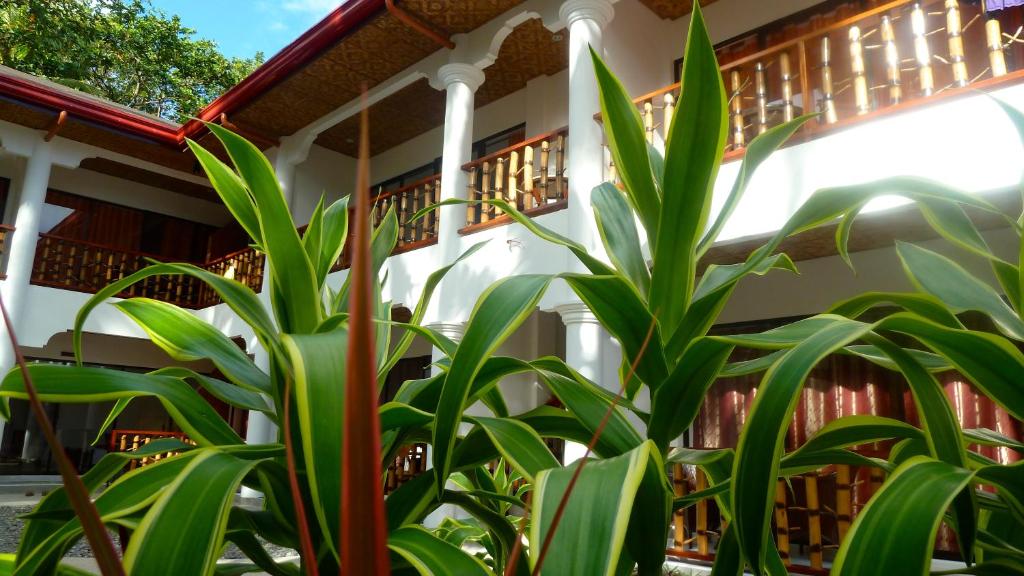 Alona Vida Beach Resort, Bohol | 2024 Updated Prices, Deals