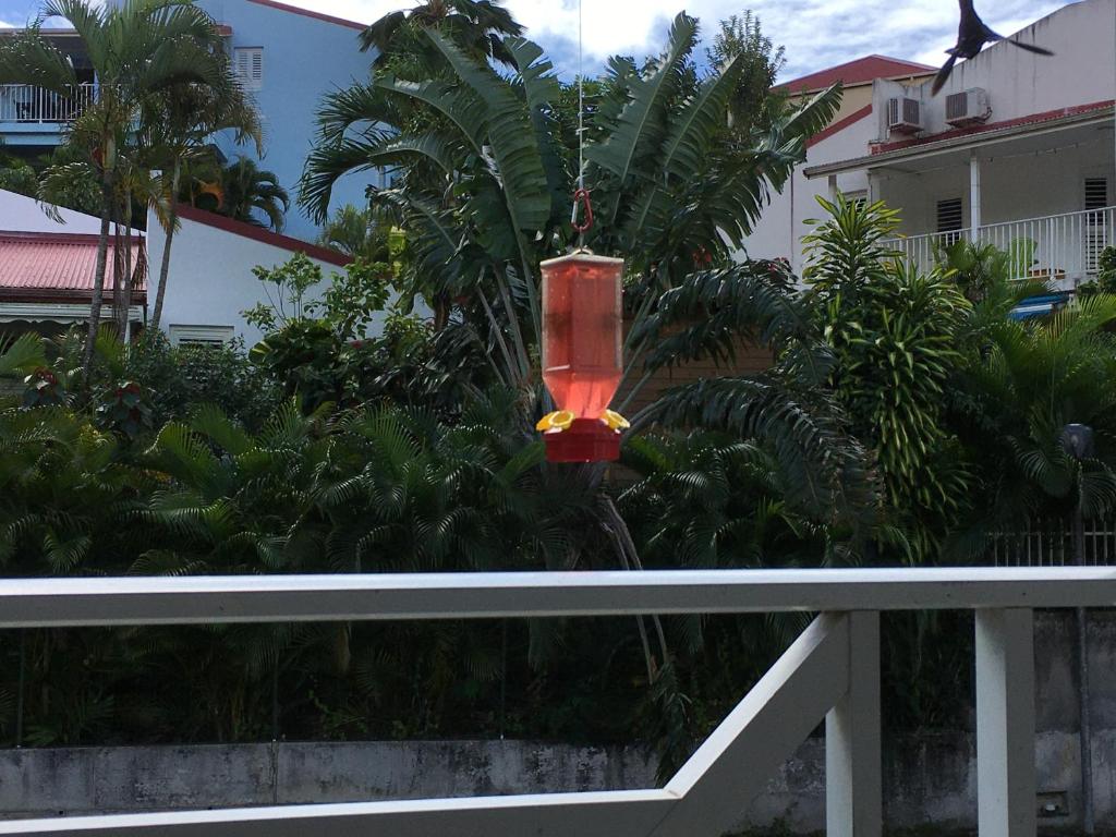 Wohnung Le Colibri, Wohnung Les Anses d'Arlet