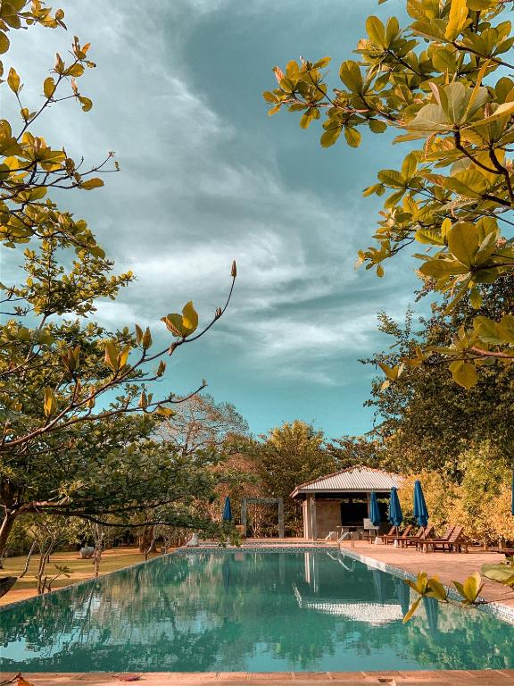 Amaara Forest Hotel Sigiriya - 2025 Exclusive Deals