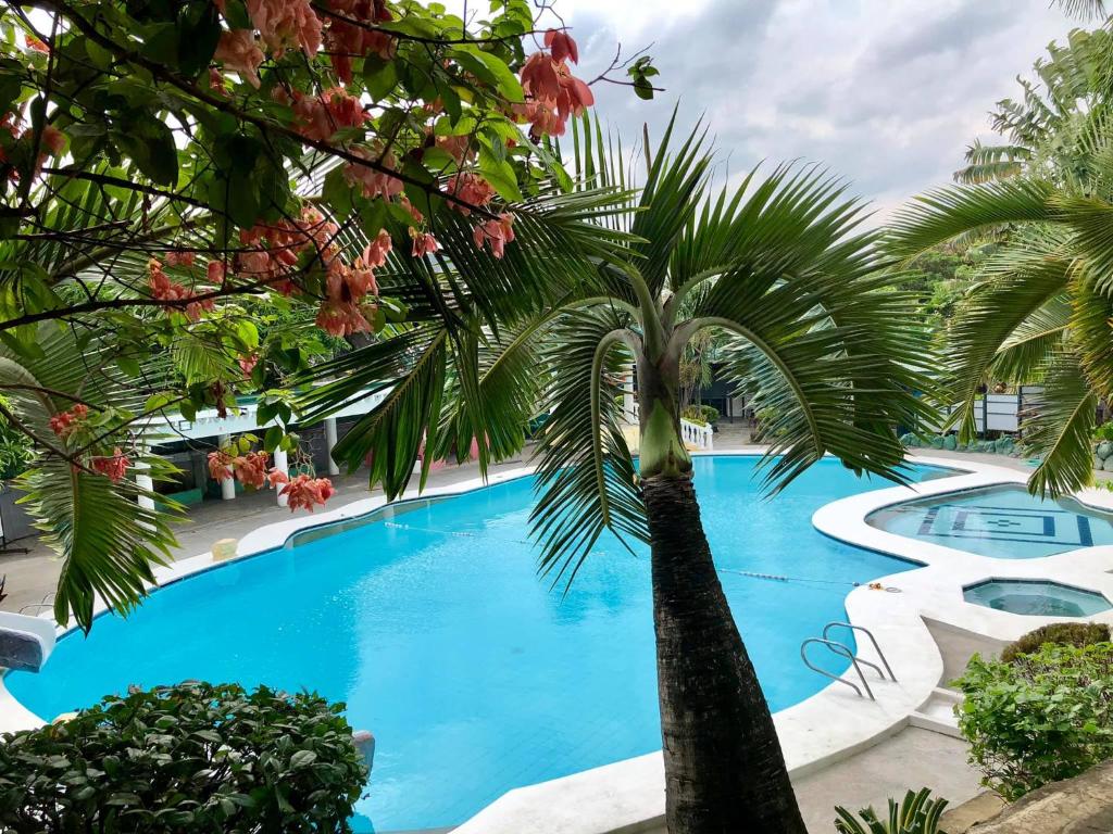 V Resort Dasma, Cavite | 2025 Updated Prices, Deals