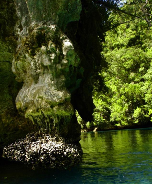 Club Tara Resort, Siargao Island | 2024 Updated Prices, Deals