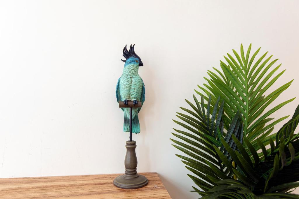 Quentin Golden Bear Hotel, Amsterdam | 2024 Updated Prices, Deals