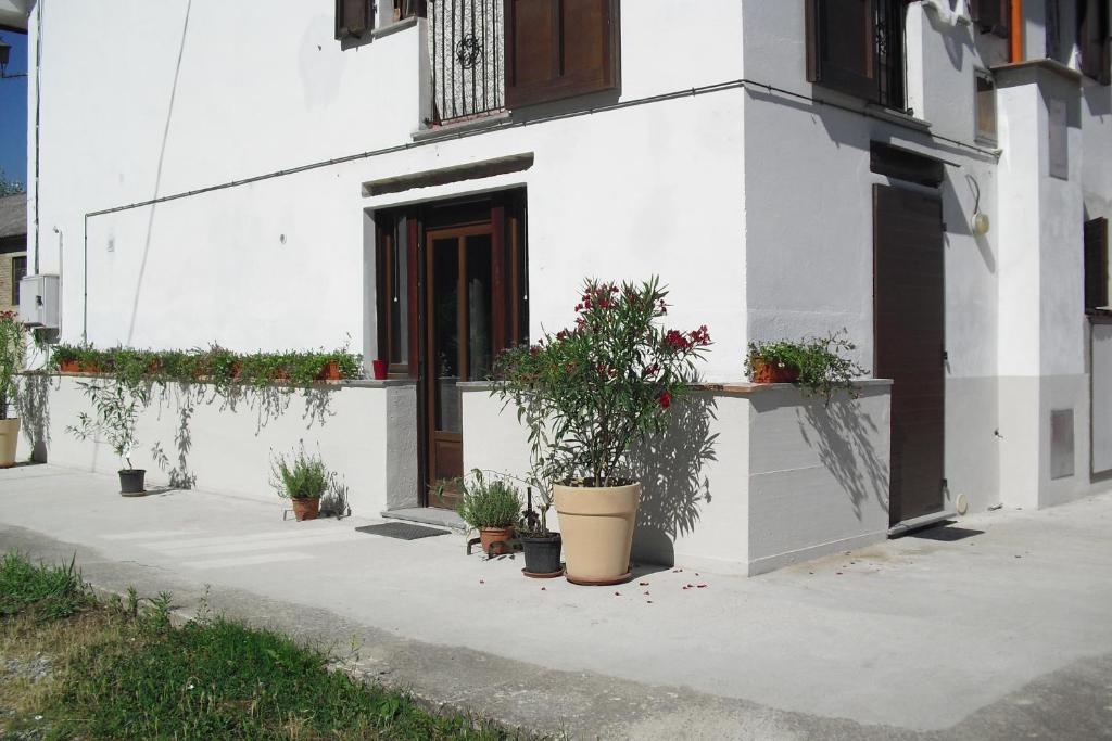 La Trifula, Apartment Canelli