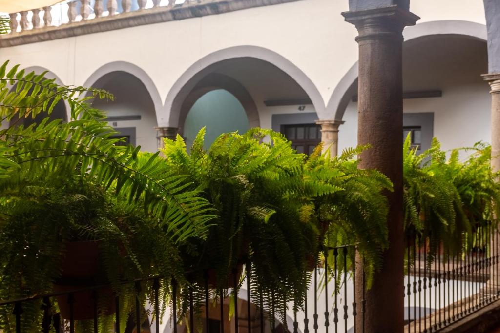 Hotel Hidalgo, Queretaro | 2025 Updated Prices, Deals