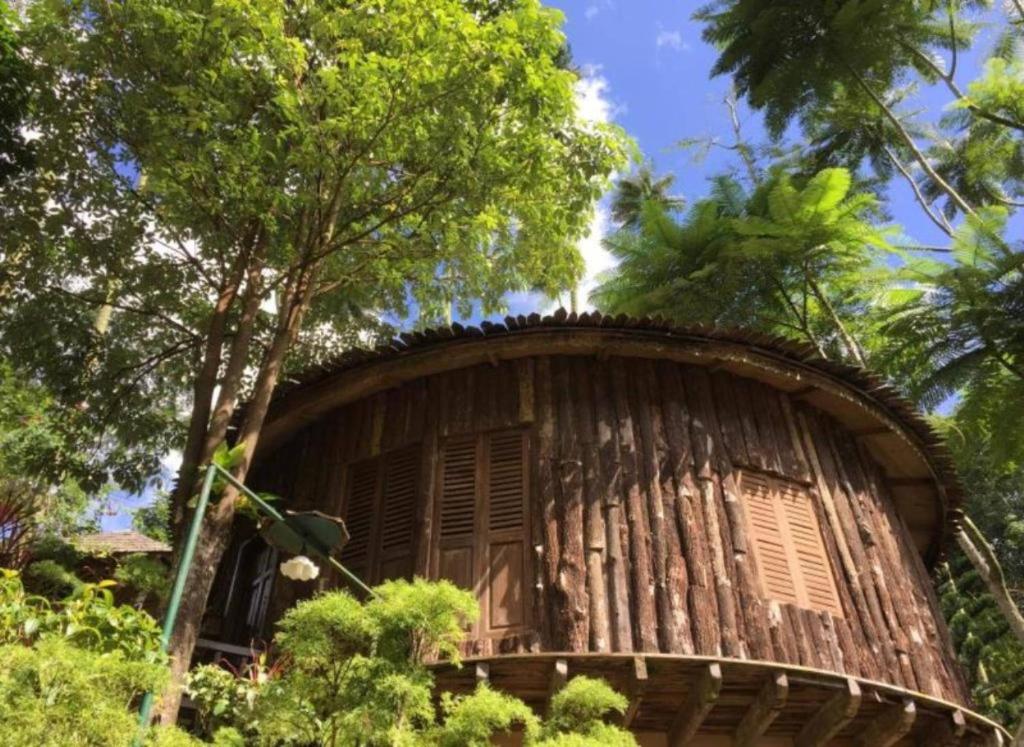 Fig Tree Hills Resort, Penang | 2023 Updated Prices, Deals