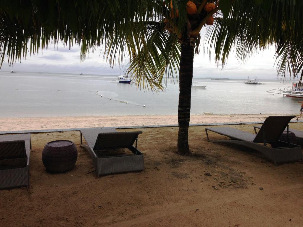 Linaw Beach Resort and Restaurant | Updated Rates 2024