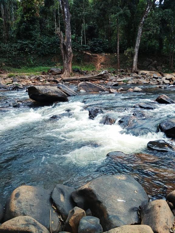 Coorg River Rock Camping, Coorg | 2024 Updated Prices, Deals