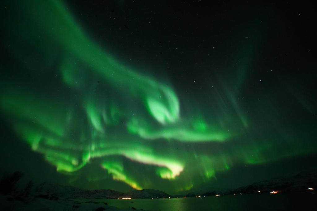 Tor Appartment, Tromsø from $69 - Book Now