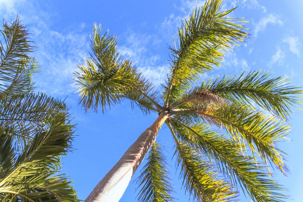 The Waterfront Beach Resort, Bataan | 2024 Updated Prices, Deals