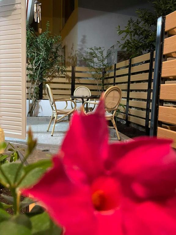 Blue Lagoon Studio Entire apartment (Missolonghi (Aitolia kai Akarnania ...