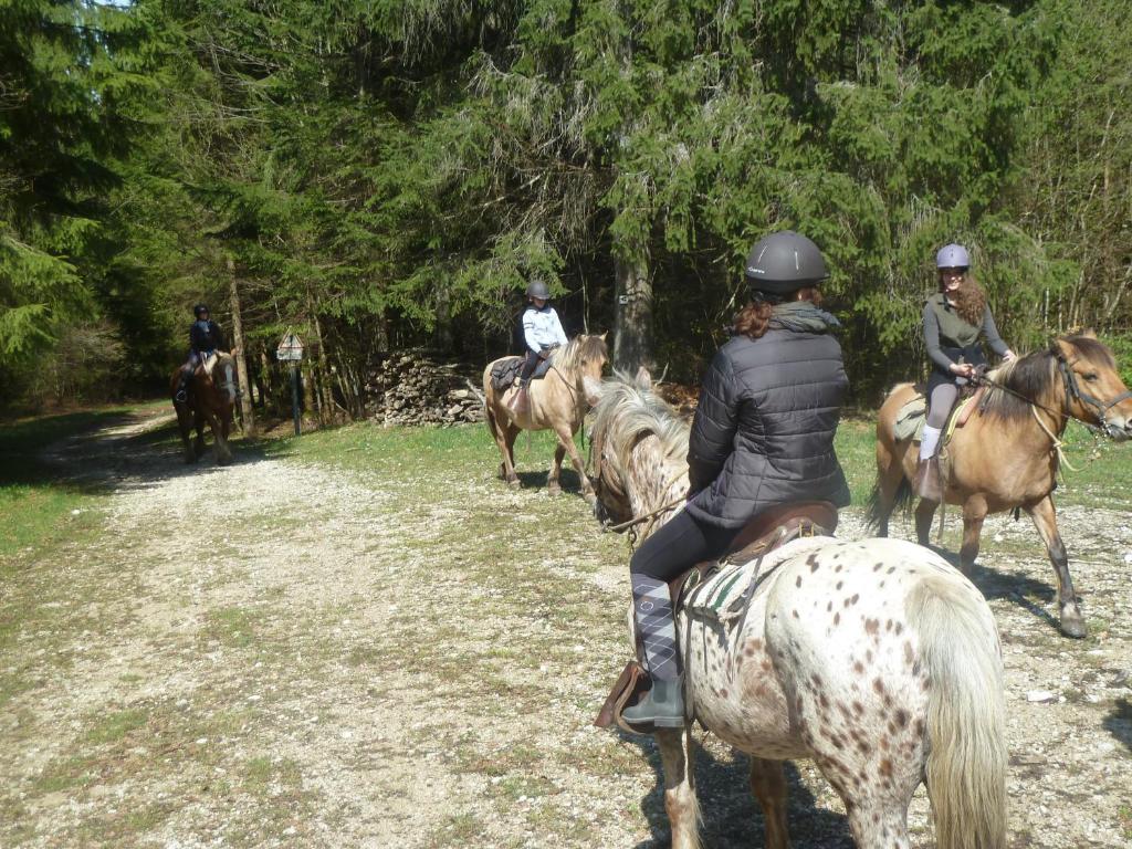 Auberge Le Sillet Longcochon