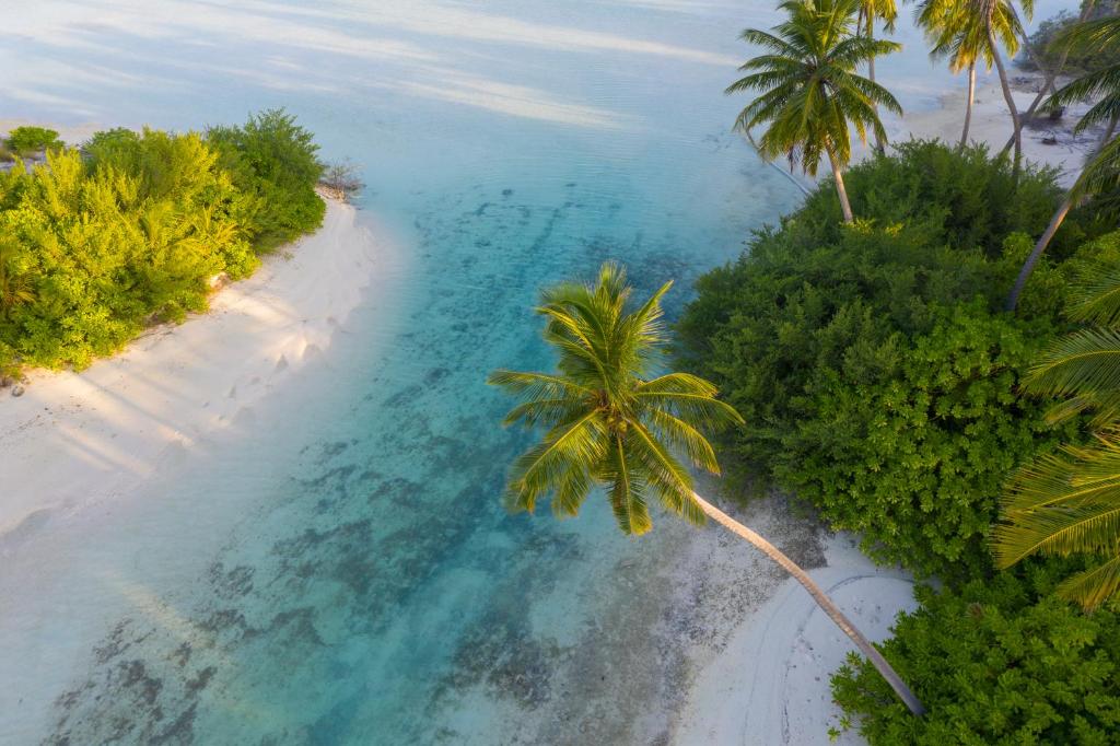 Rahaa Resort, Maldive Islands | 2024 Updated Prices, Deals