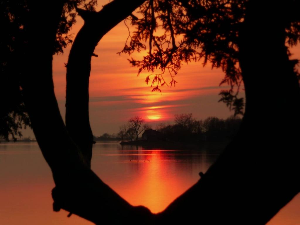Isaiah Tubbs Resort, West Lake (ON) | 2024 Updated Prices, Deals