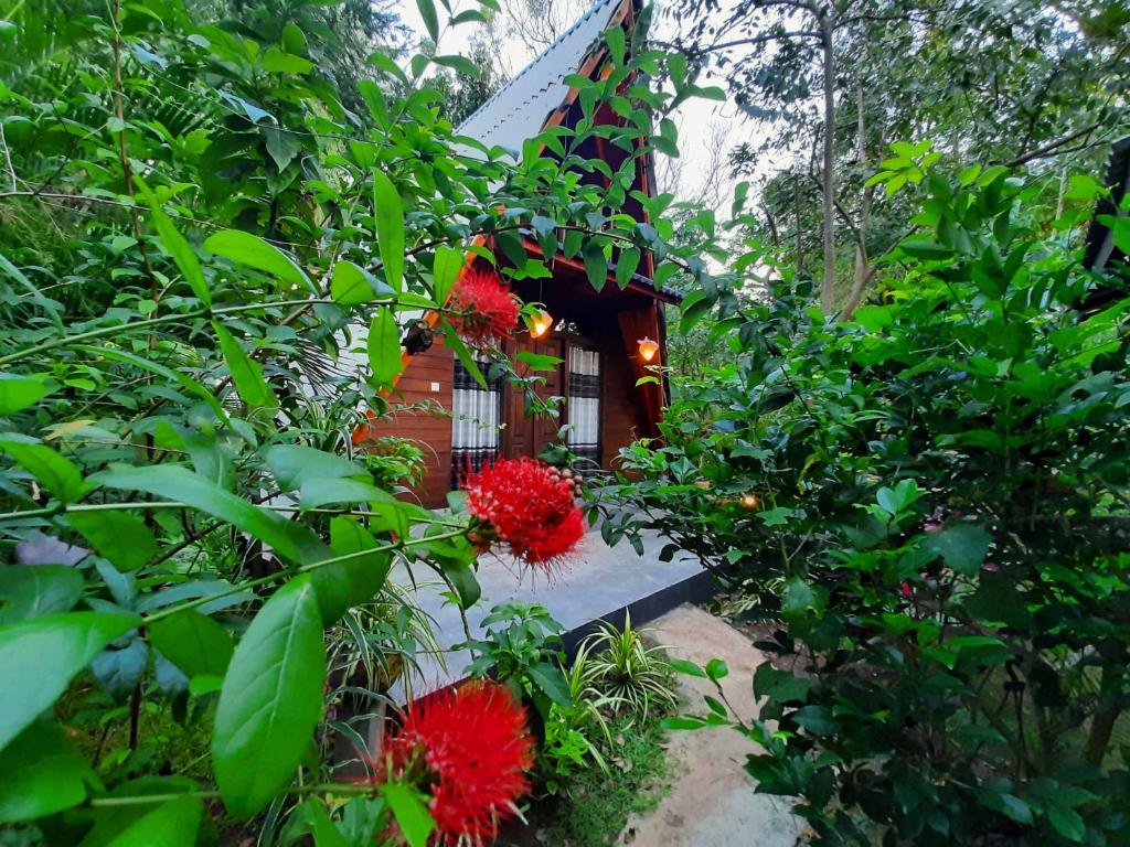 The Otunna Guest House Sigiriya, Sigiriya | 2024 Updated Prices, Deals