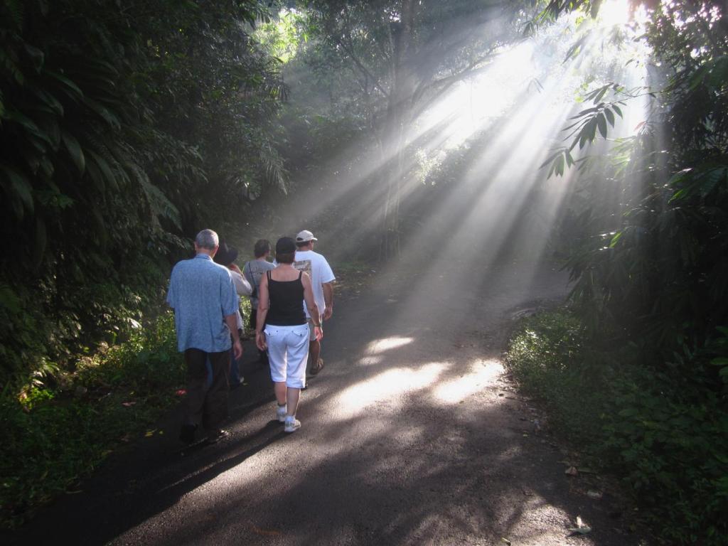 Arma Museum Resort & Villas, Bali | 2024 Updated Prices, Deals