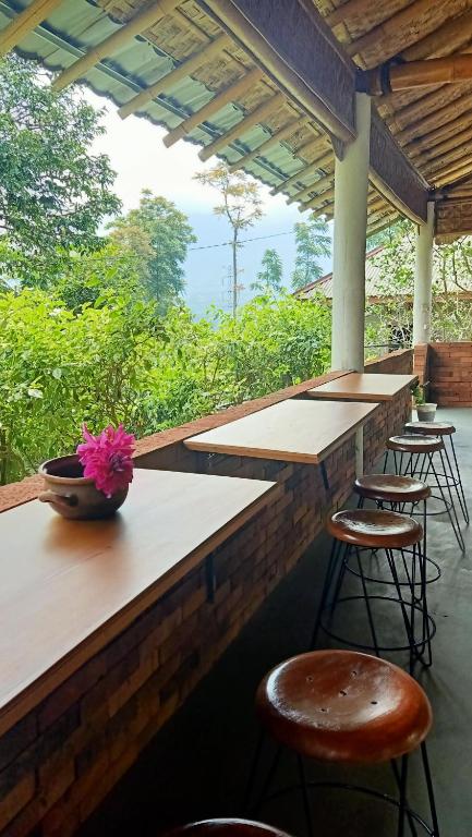 Pondok Bamboo Sendangsari, Wonosobo | 2024 Updated Prices, Deals
