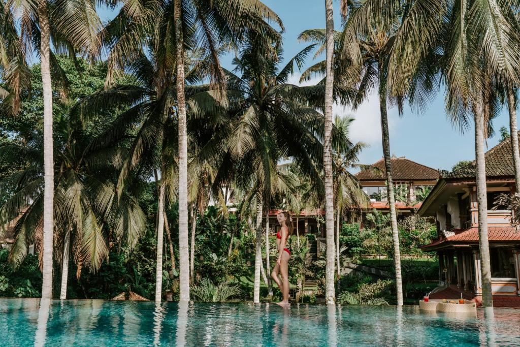 The Artini Dijiwa Ubud, Bali | 2024 Updated Prices, Deals