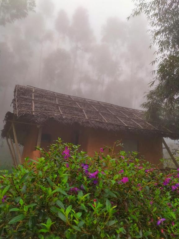 Anandavana Jungle Resort By Lexstays - Kanthalloor-Marayur Hotel ...