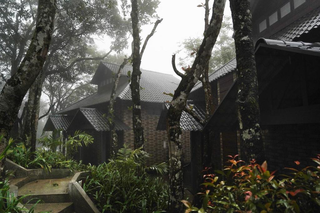 Elephant Passage Resort Munnar Hotel - Deals, Photos & Reviews