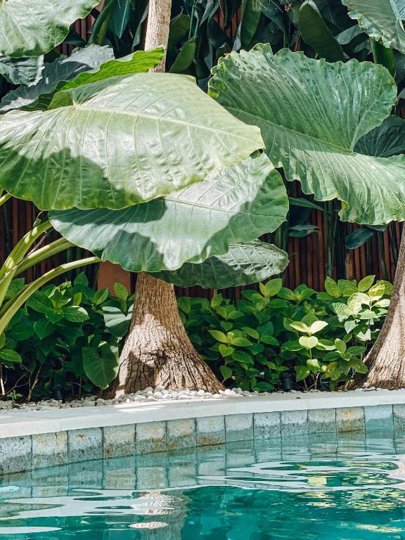 Beyond Bayou Resort (Bali) - Deals, Photos & Reviews