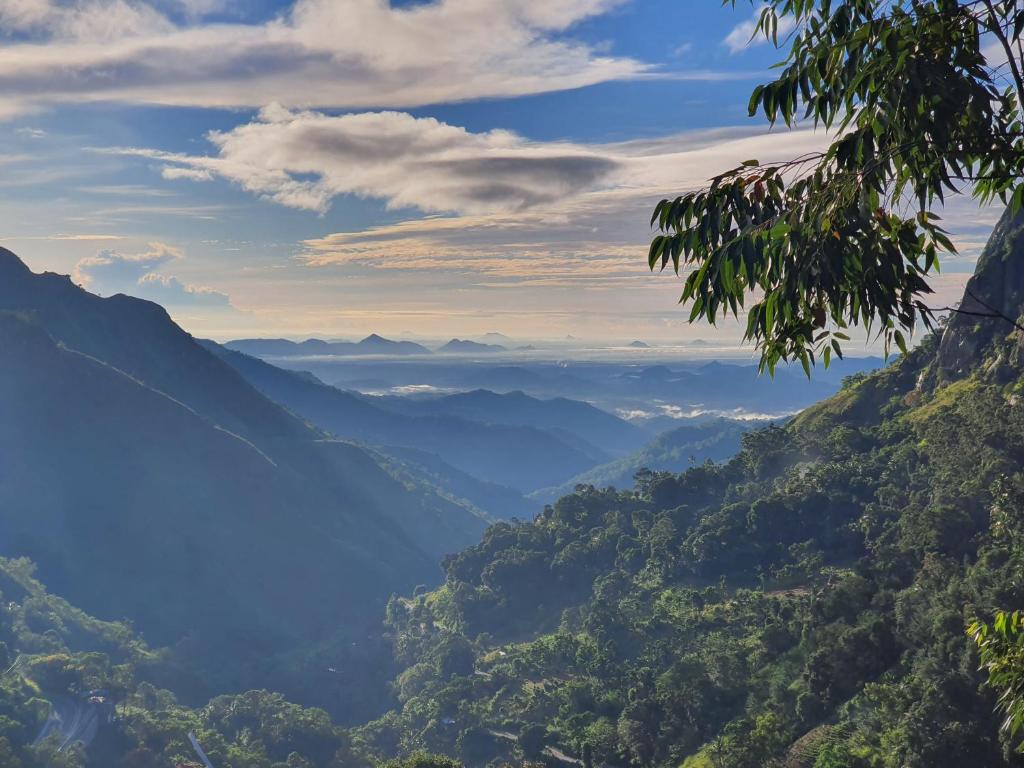 Ella Mount View Guest Inn Hotel - Deals, Photos & Reviews