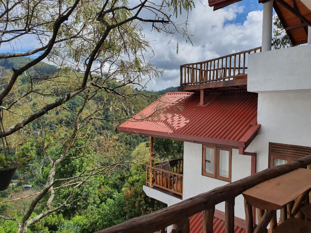Ella Mount View Guest Inn Hotel - Deals, Photos & Reviews