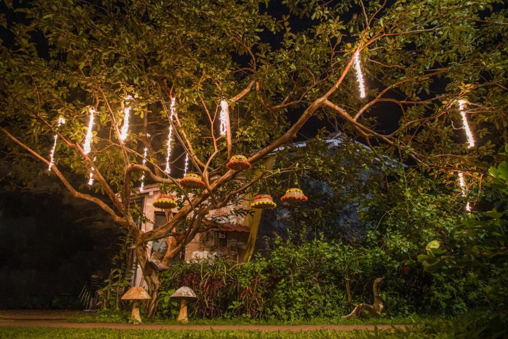 Sanidhya Beach Resort, Alibaug | 2024 Updated Prices, Deals