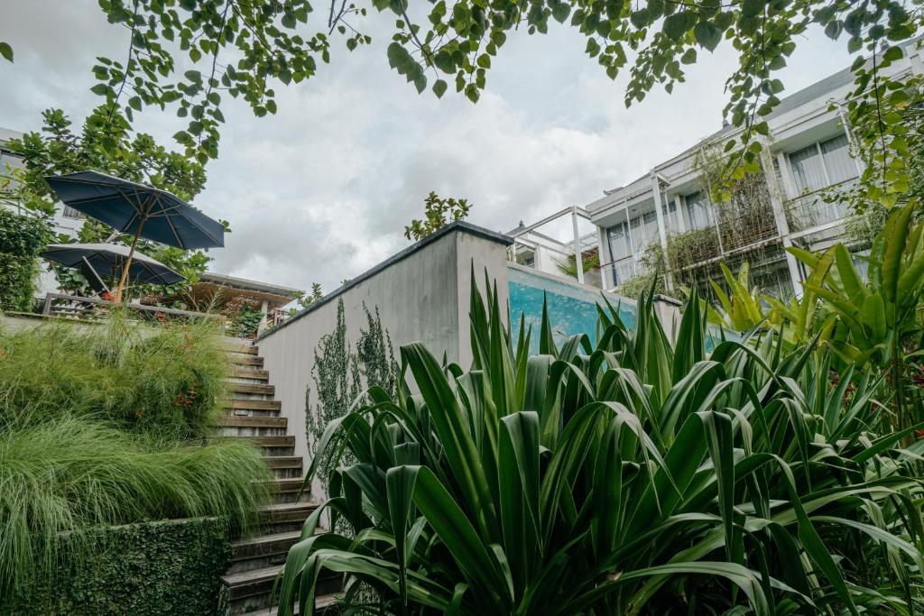 Rimbun Canggu Hotel, Bali | 2024 Updated Prices, Deals